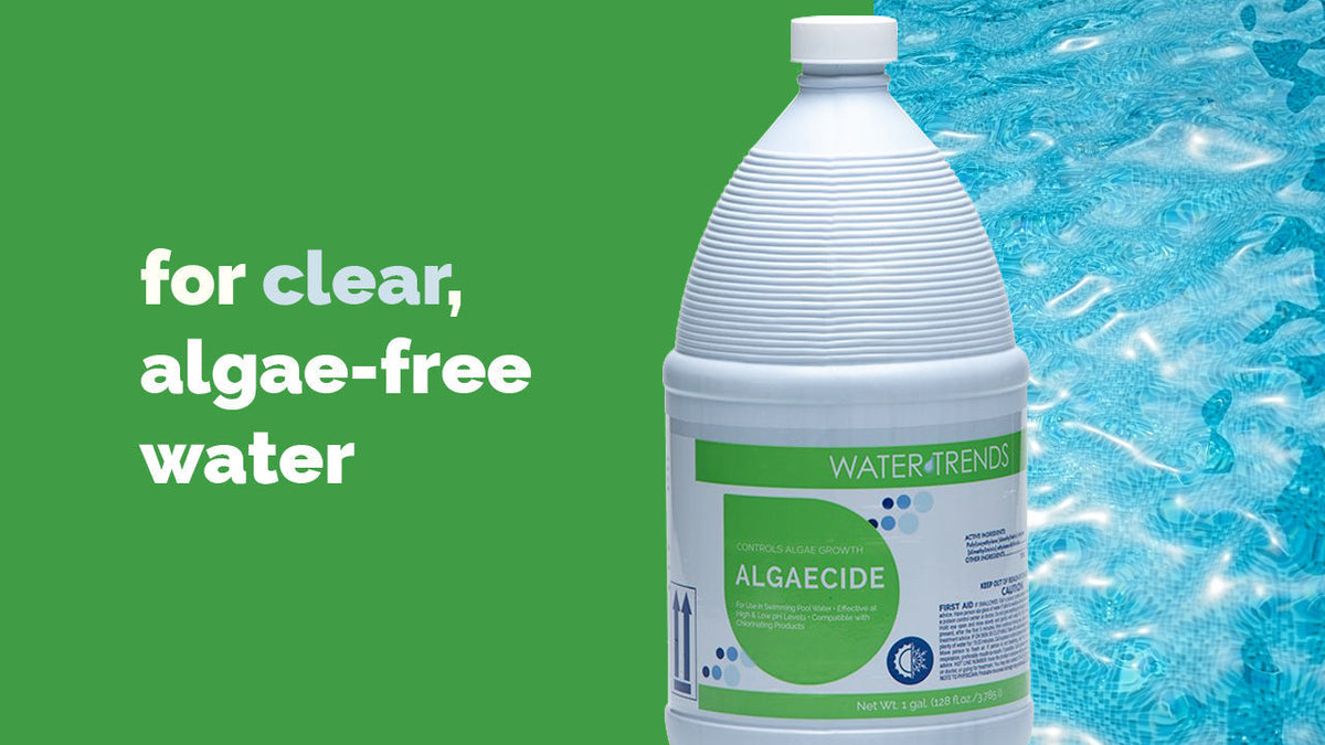 Keep Your Pool Pristine and Algae-Free with Algaecide — The Great Escape