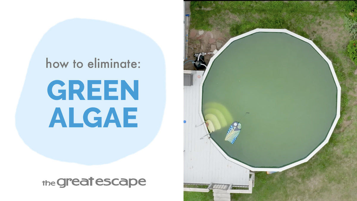 Say Goodbye to Green Algae with Algae Destroyer — The Great Escape