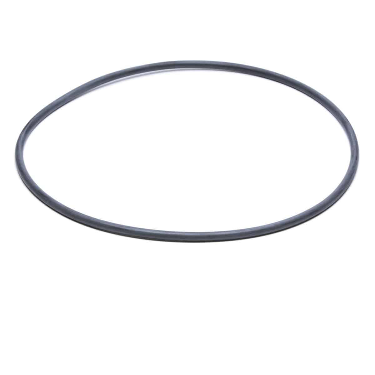 ASL Filter Body O-Ring — The Great Escape